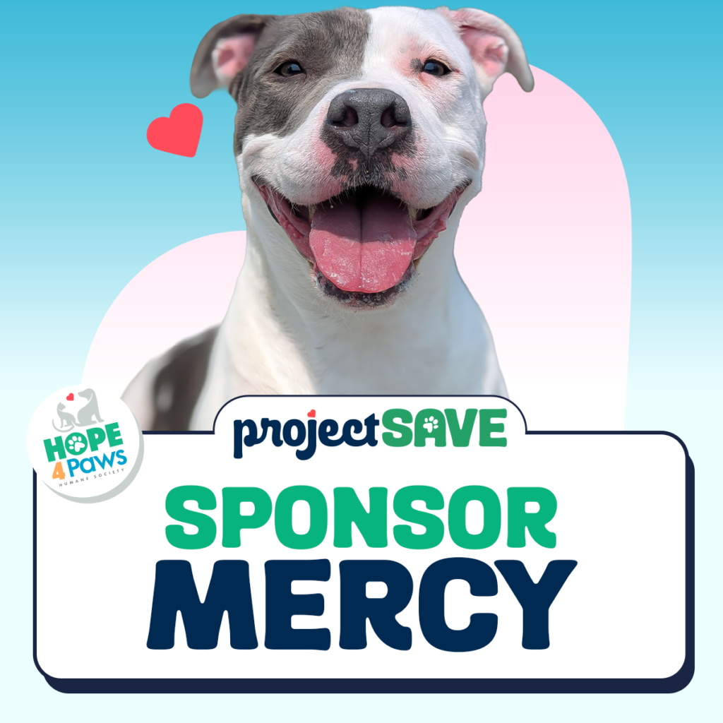 Hope 4 Paws Humane Society – Plainfield, NJ Area Animal Shelter ...