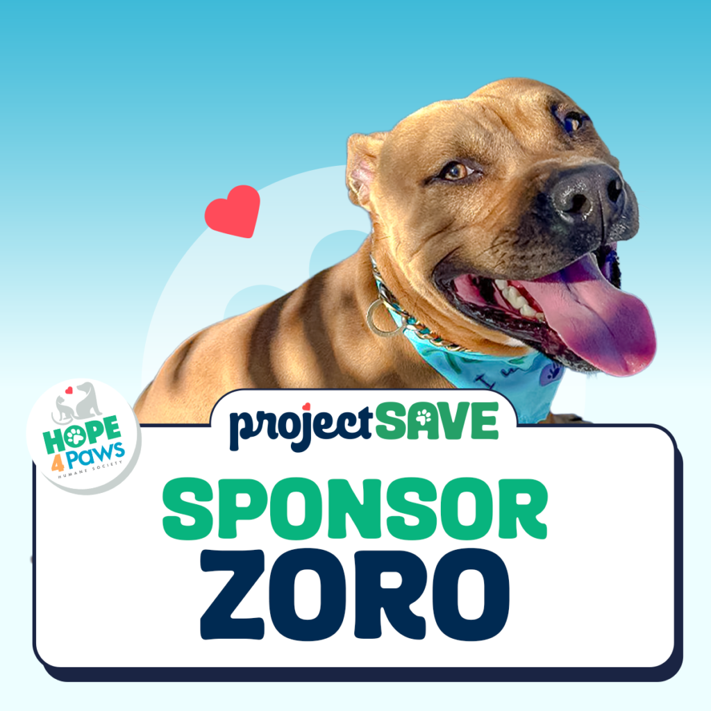 Project SAVE – Hope 4 Paws Humane Society