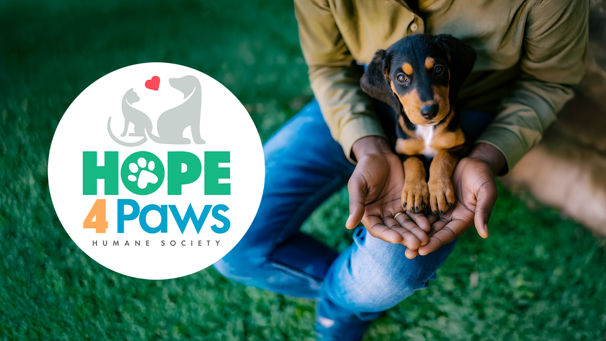 Guides: After you adopt a new shelter pet | Hope 4 Paws Humane Society